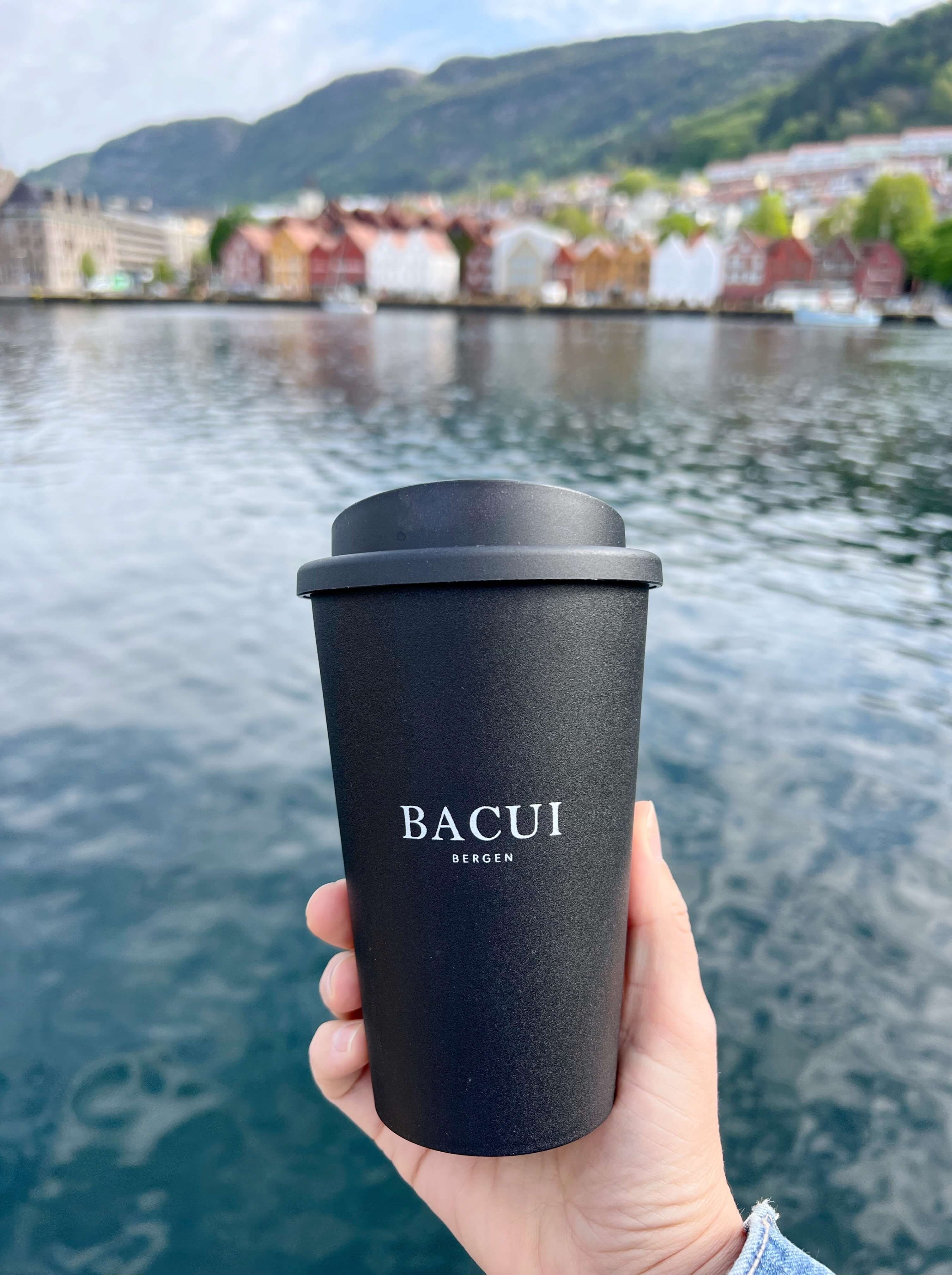 Bacui take away-kopp